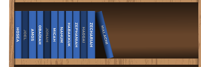 The Minor Prophets-Associates In Ministry Course